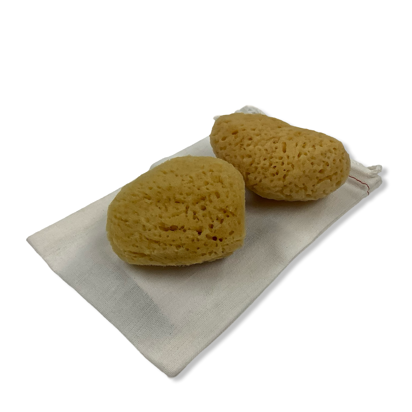 Sea Sponges - Jade & Pearl – Frae Everyday Goods